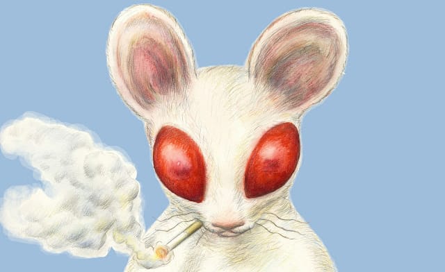 Urgu, It's Implications In The Language of The Urgu Tribe, And It's ...